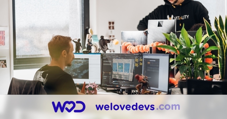 Tools Programmer - Ubisoft Bordeaux - IT job